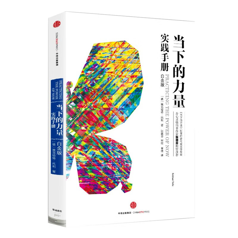 当下的力量实践手册（白金版） 中信出版社