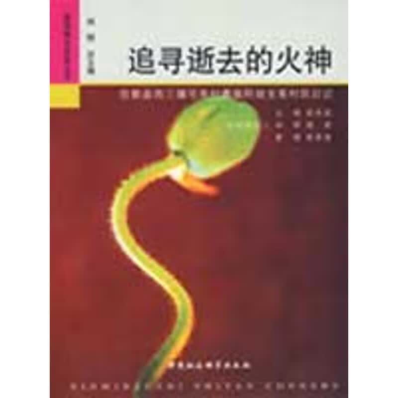 追寻逝去的火神