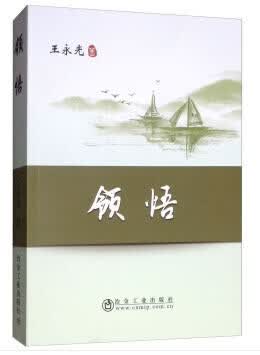 领悟 王永光 冶金工业出版社