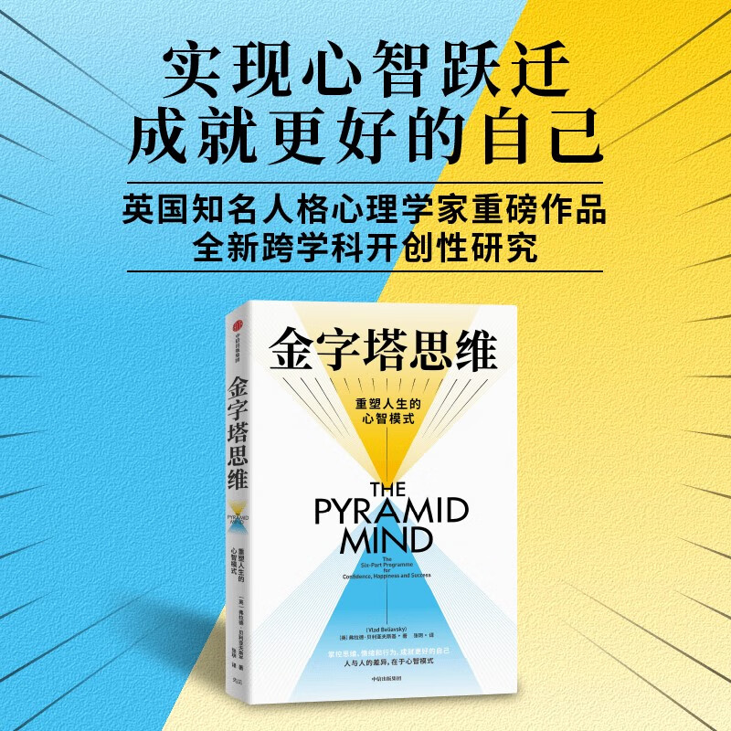 金字塔思维 重塑人生的心智模式 弗拉德贝利亚夫斯基著 6步计划重塑人生 人与人的差异 在于心智模式