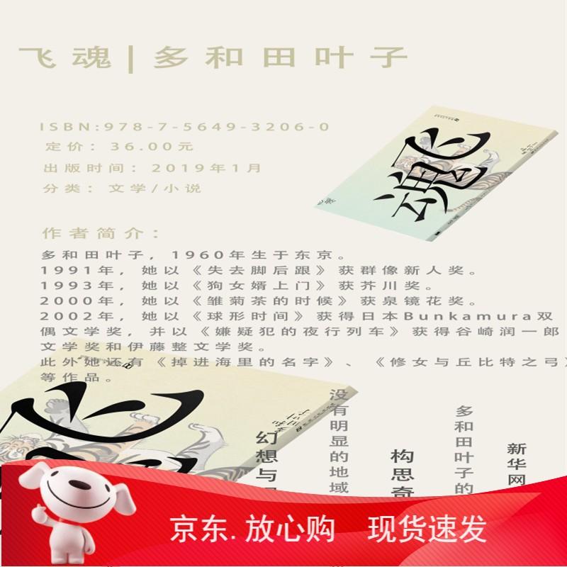 飞魂/金晓宇译