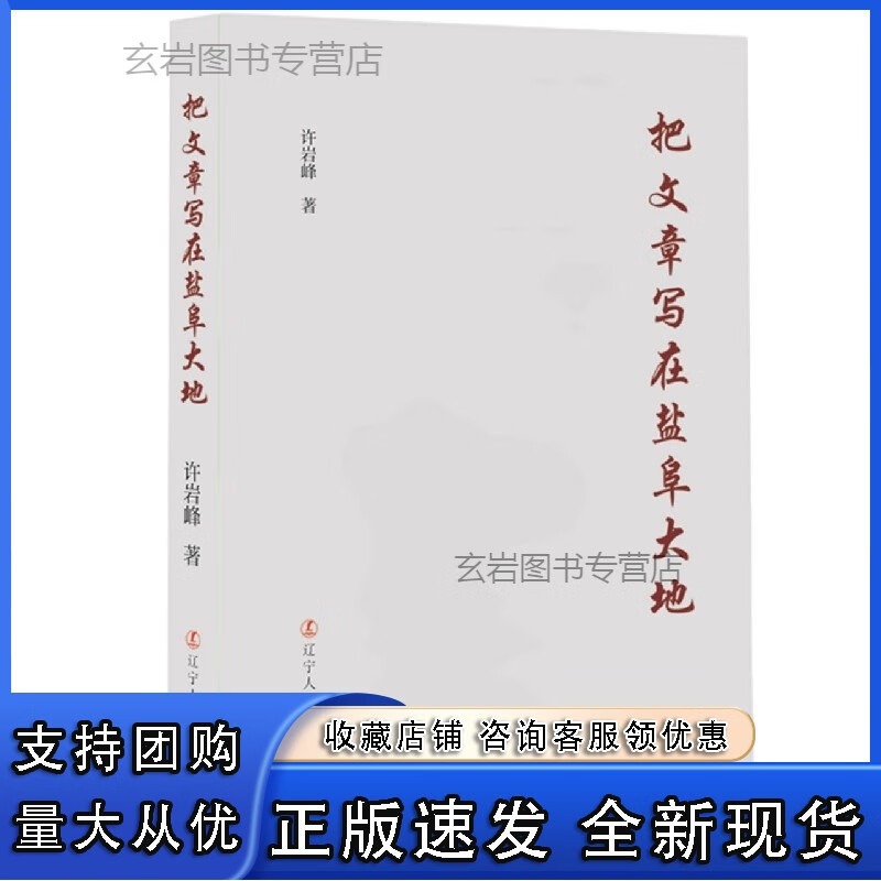 n把文章写在盐阜大地