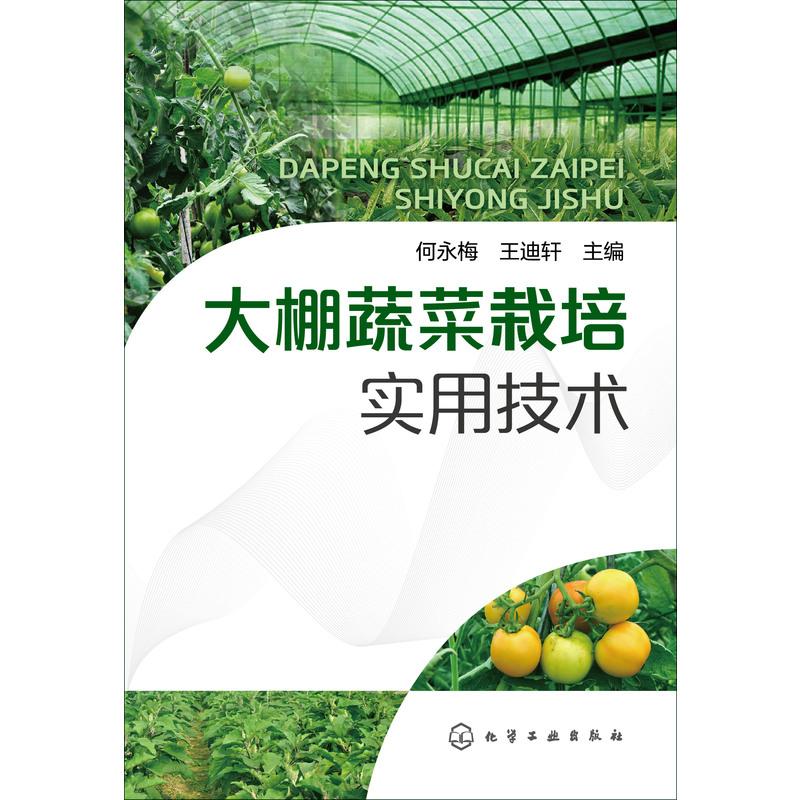 大棚蔬菜栽培实用技术 何永梅、王迪轩 主编