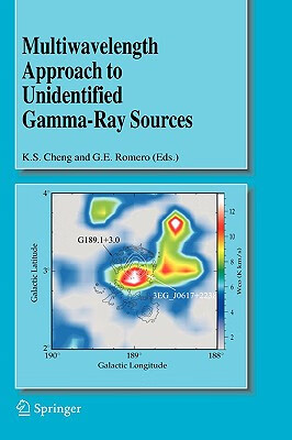 Multiwavelength Approach to Unidentified Gamma-Ray Sources
