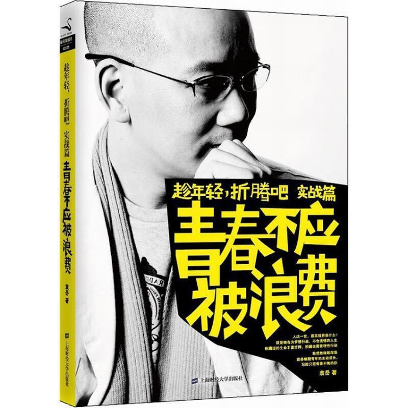 青春不应被浪费 袁岳【书】