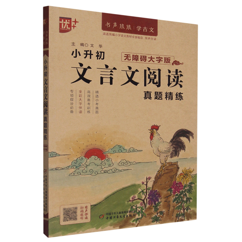 小升初文言文阅读真题精练(无障碍大字版)/书声琅琅学古文