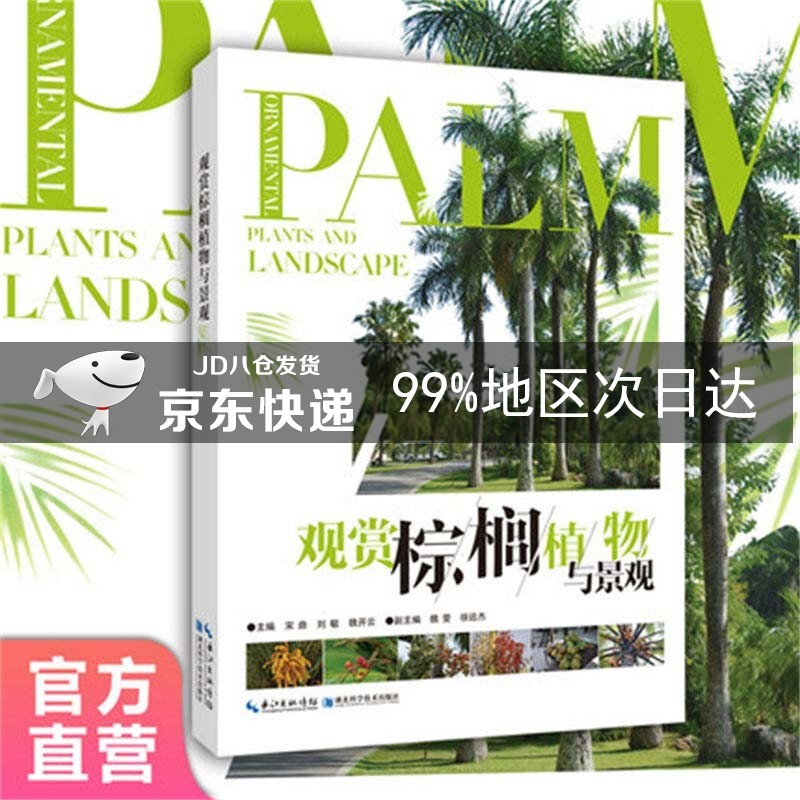 观赏棕榈植物与景观