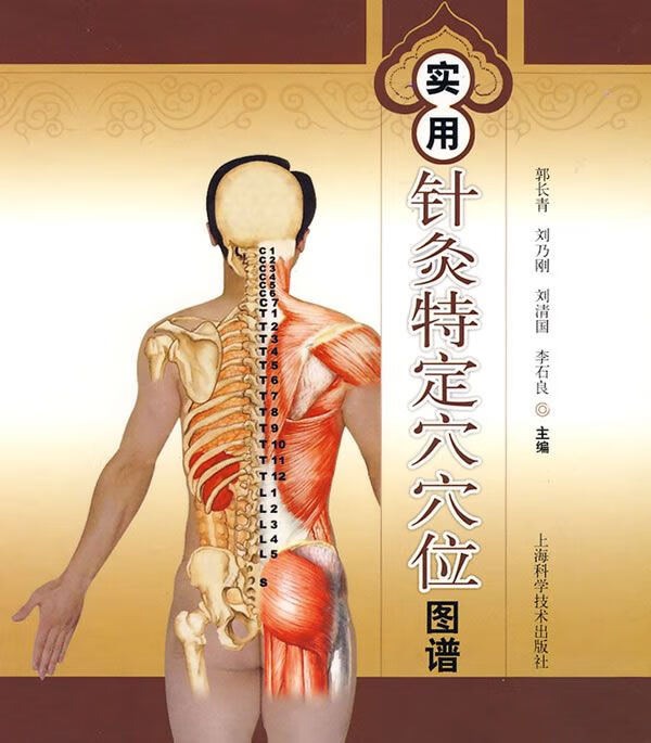 实用针灸特定穴穴位图谱