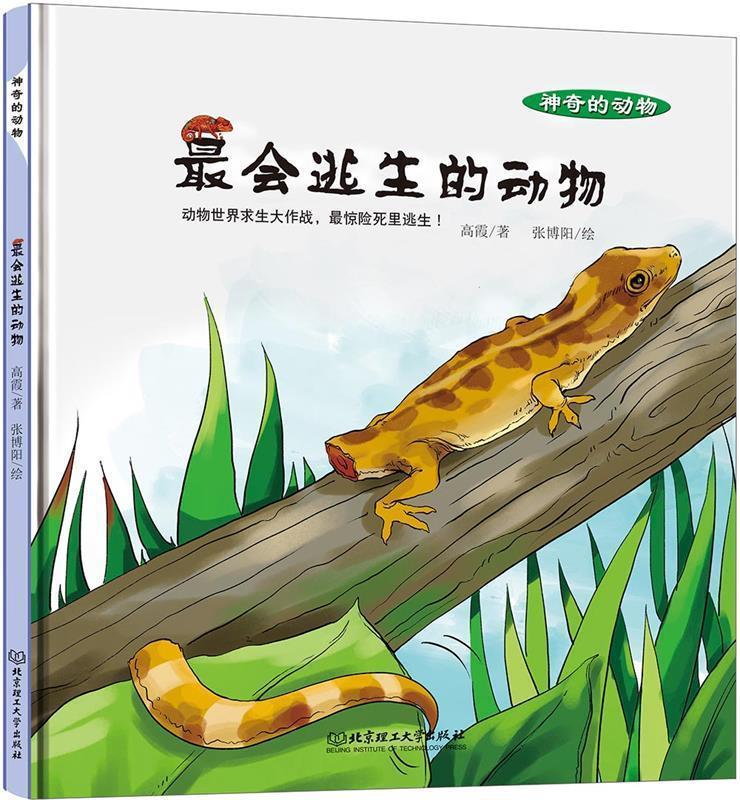 会逃生的动物 高霞【书】