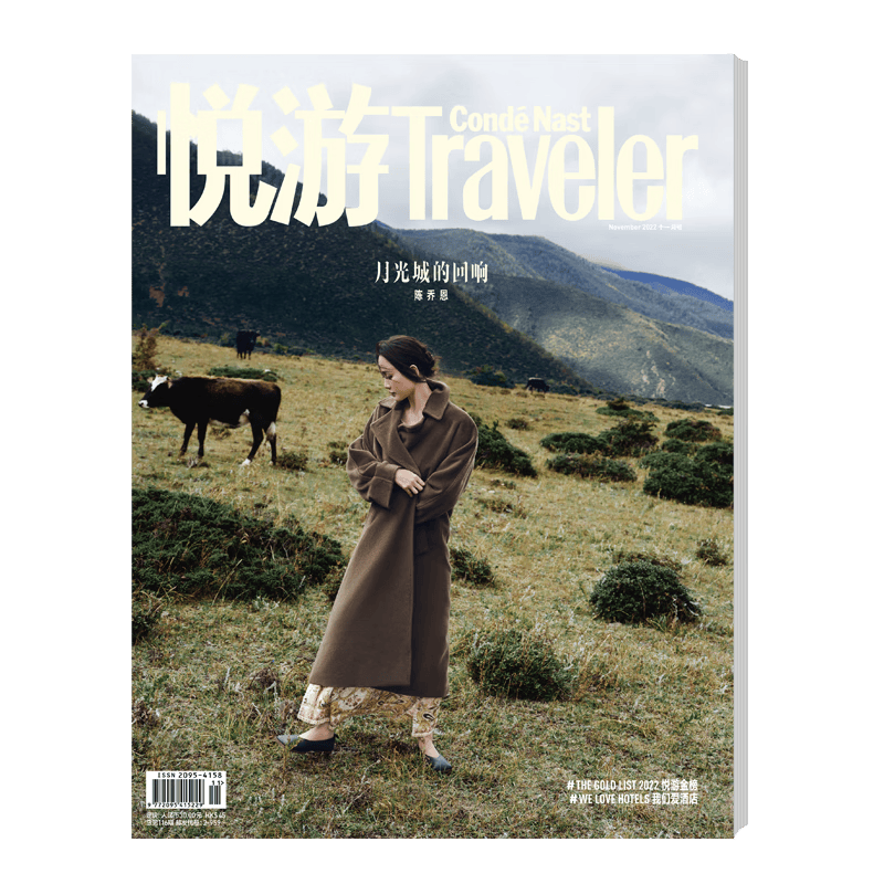 悦游 高端旅游杂志 22年11月刊 陈乔恩 封面