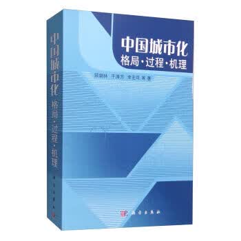 中国城市化格局/过程/机理