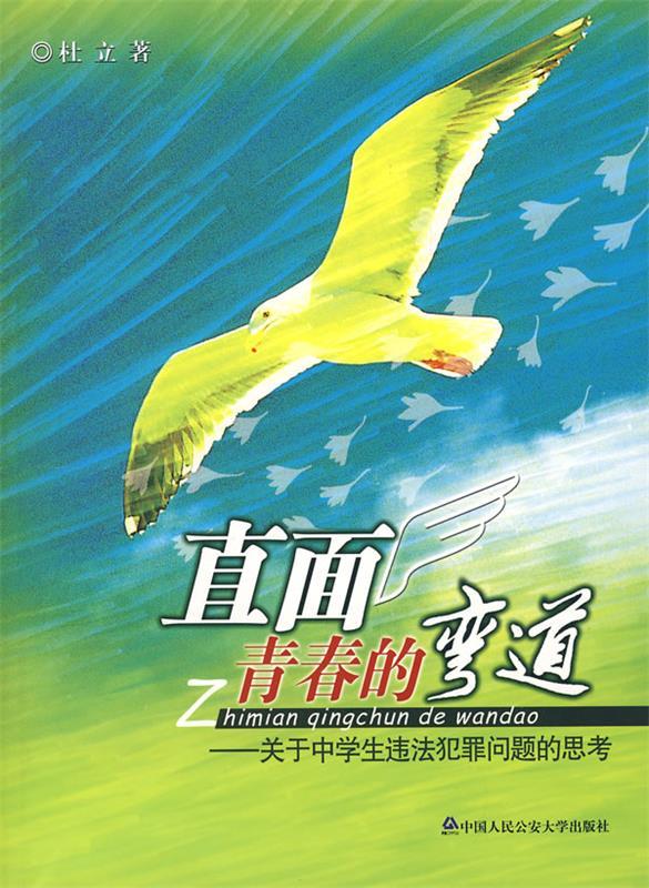 直面青春的弯道 杜立 著【书】