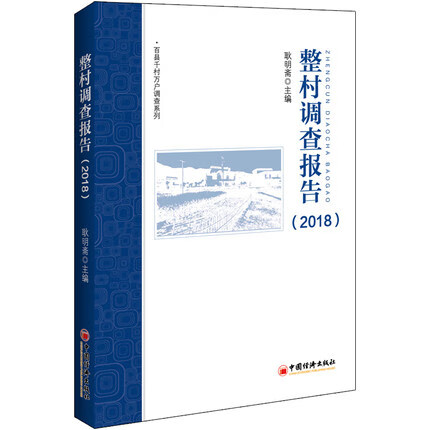 整村调查报告（2018）耿明斋 主编