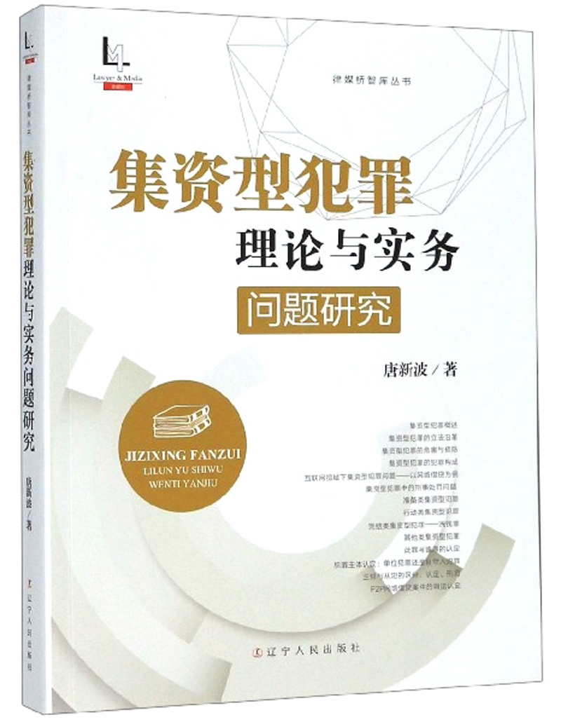 集资型犯罪理论与实务问题研究 辽宁人民 9787205096762 唐新波