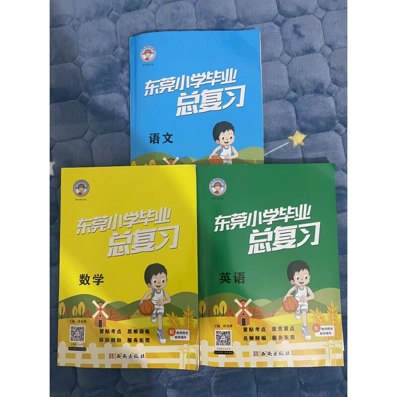 2023春 东莞状元坊小学毕业总复习语文数学英语含试卷答案 现货 语文 小学六年级