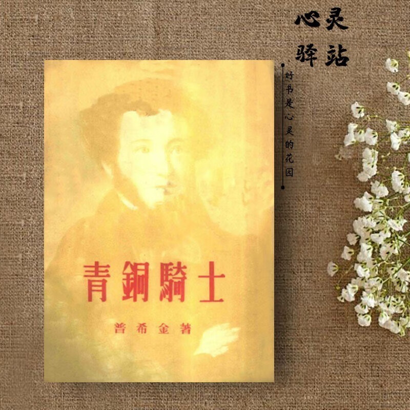 《青铜骑士》（俄）普希金 查良铮译 新文艺