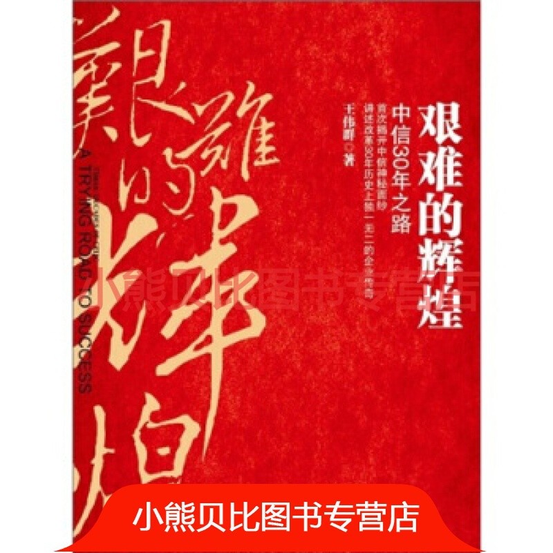 艰难的辉煌：中信30年之路 王伟群