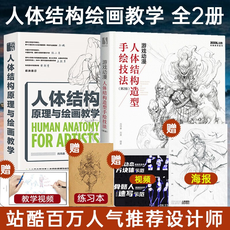 人体结构原理与绘画教学 画画的春哥肖玮春 人物结构造型绘画零基础入门 人体结构绘画教学2册（原理与绘画教学+造型手绘技法