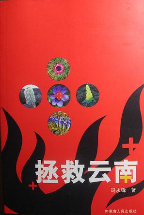 拯救云南 冯永锋