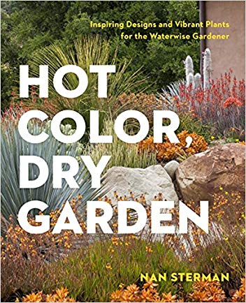 HOT COLOR, DRY GARDEN