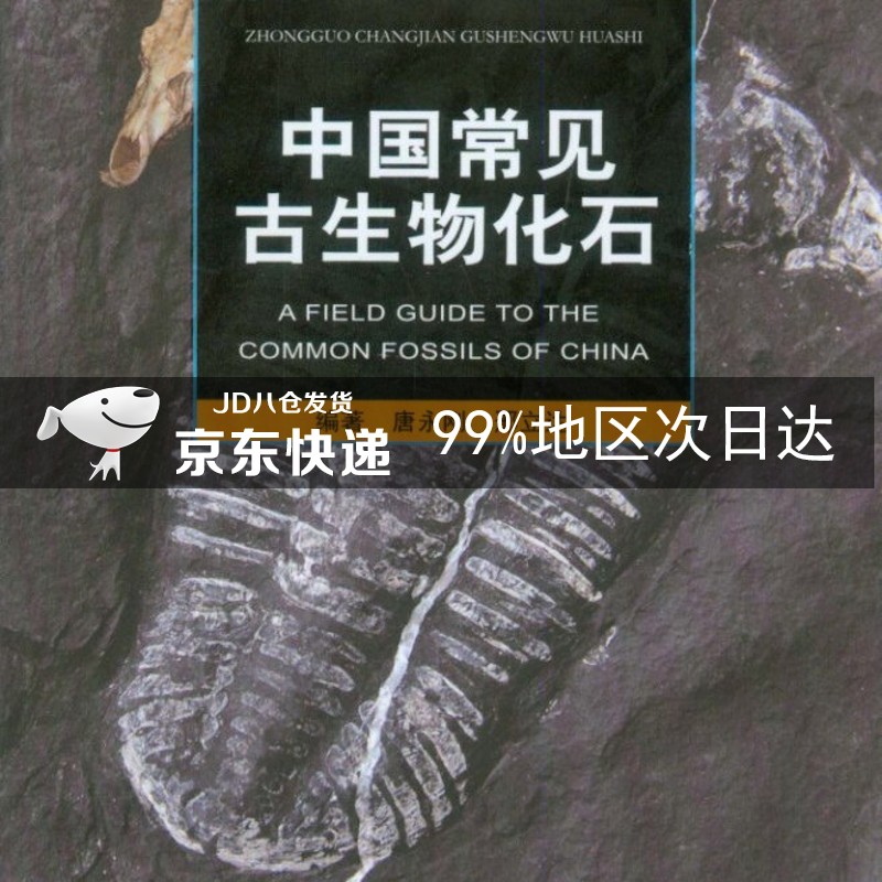 中国常见古生物化石