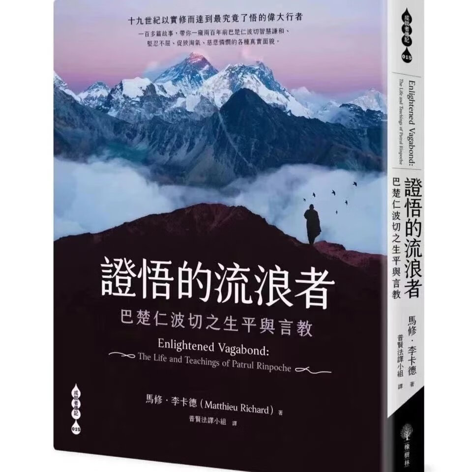 证悟收藏品之佳品流浪者之稀有收藏宝贝(稀有收藏品)16开