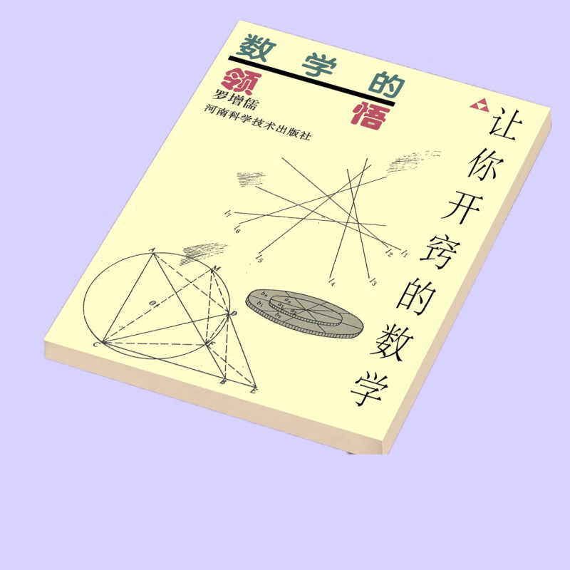 让你开窍的数学 数学的领悟 罗增儒著