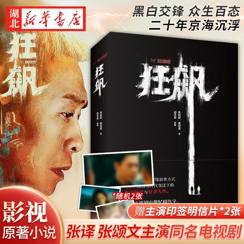 狂飙电视剧原著小说【赠主演印签明信片】徐纪周导演 张译 张颂文 李一桐主演同名电视剧 湖北旗舰店