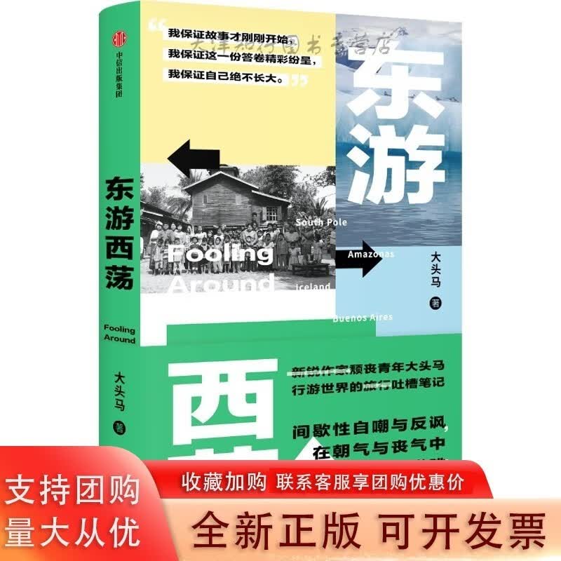 东游西荡 大头马著 中信出版社