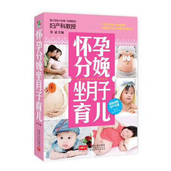 怀孕分娩坐月子育儿 陈诚 著