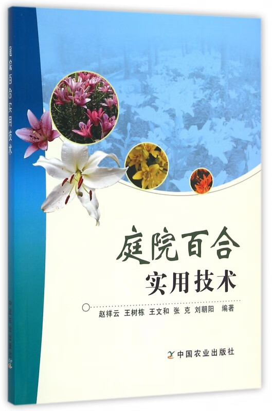 庭院百合实用技术