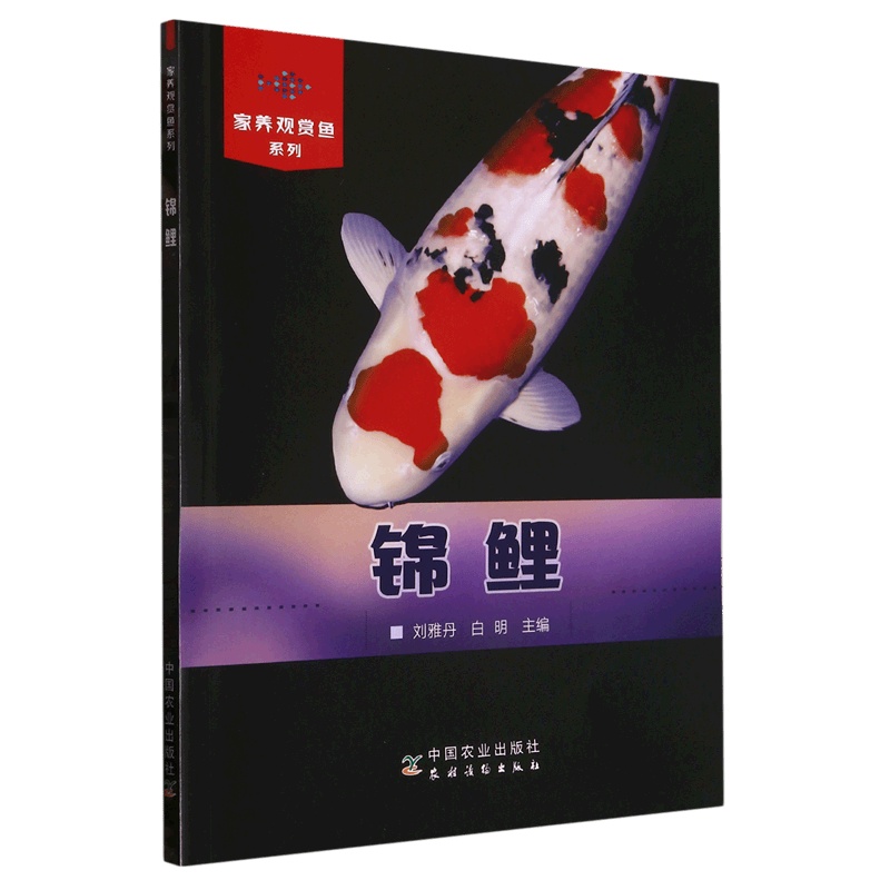锦鲤/家养观赏鱼系列