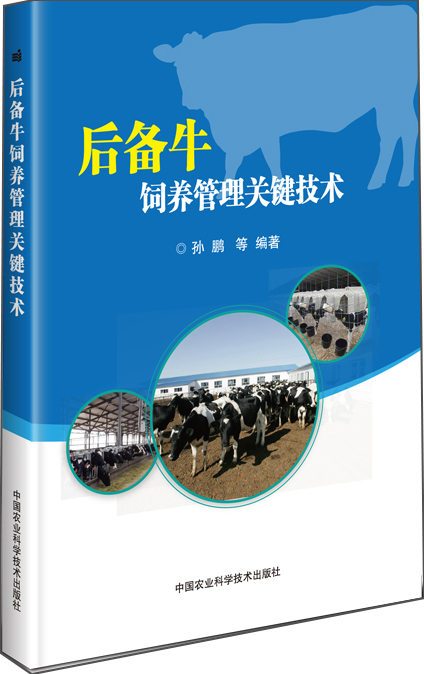 后备牛饲养管理关键技术
