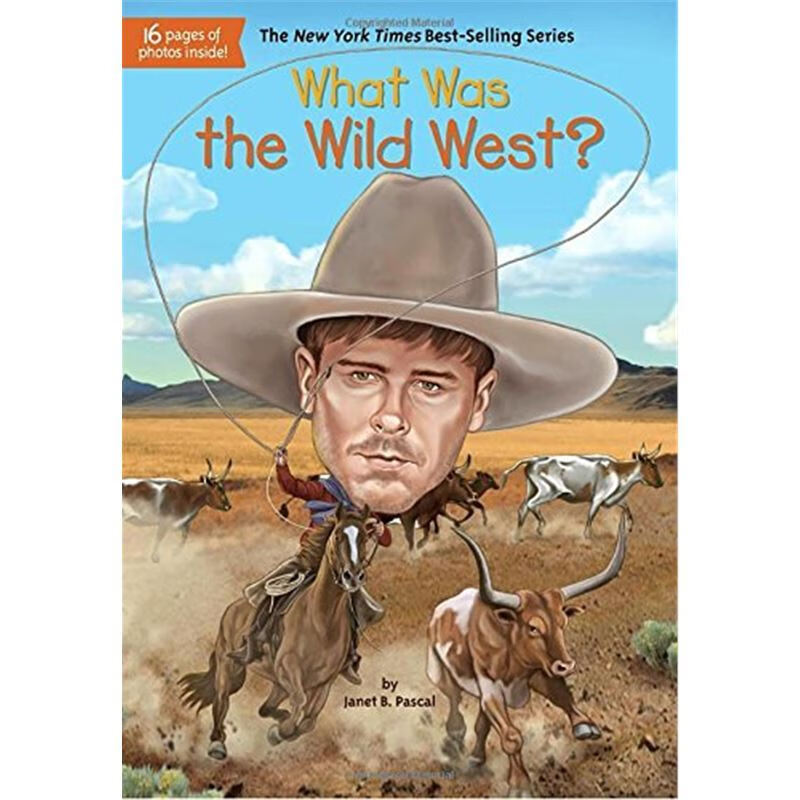 What Was the Wild West?
