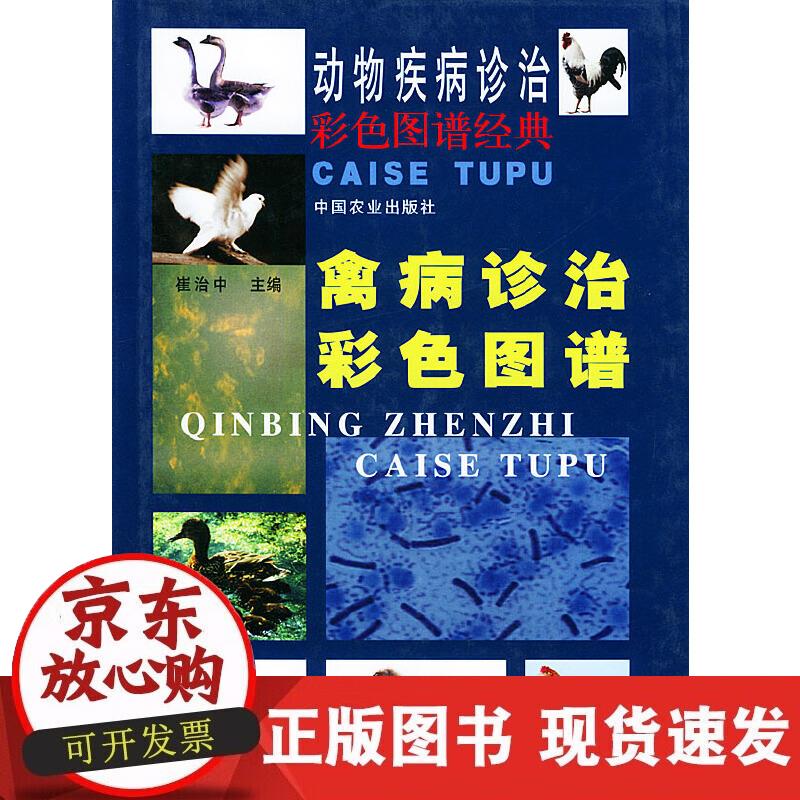 【现货】禽病诊治彩色图谱