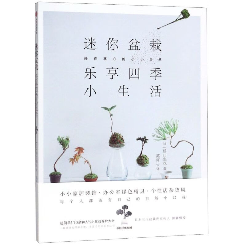 迷你盆栽乐享四季小生活