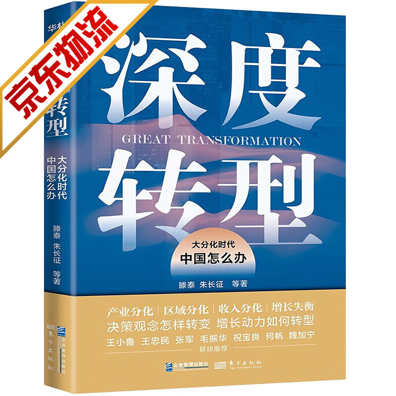 中国经济书籍 深度转型：大分化时代中国怎么办