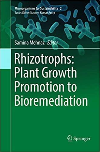 Rhizotrophs: Plant Growth Promotion to Bioremedi