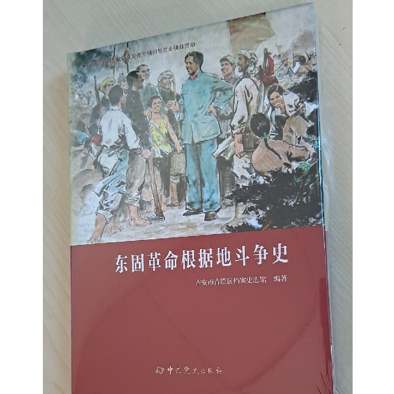 东固革命根据地斗争史