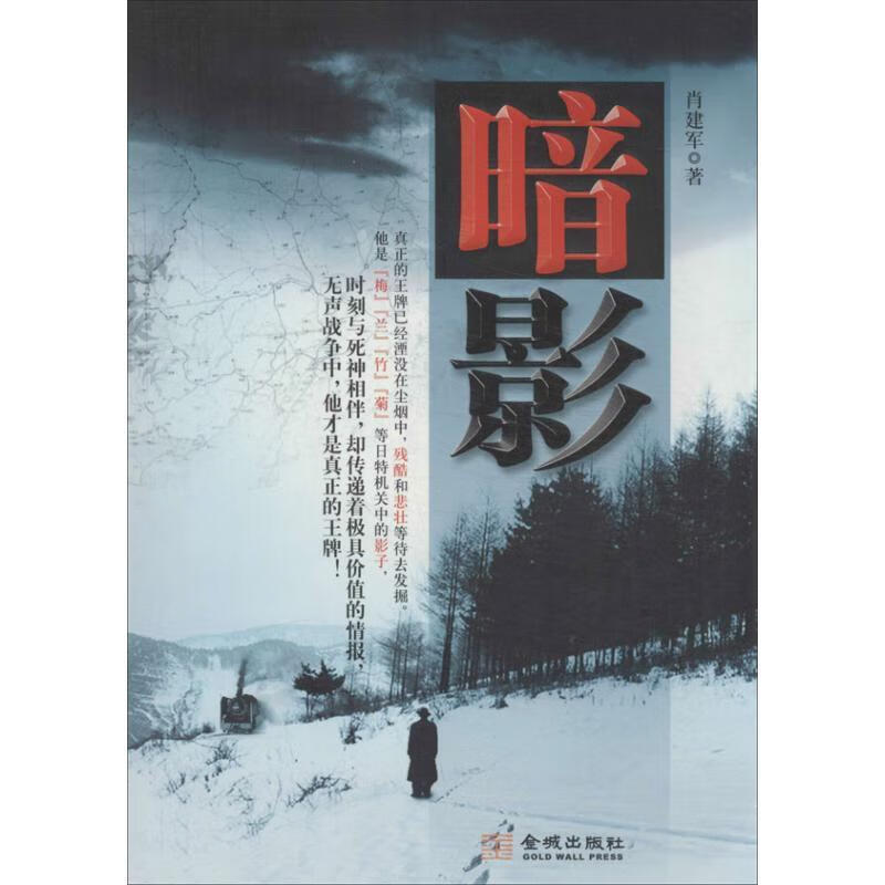 暗影 肖建军 金城出版社