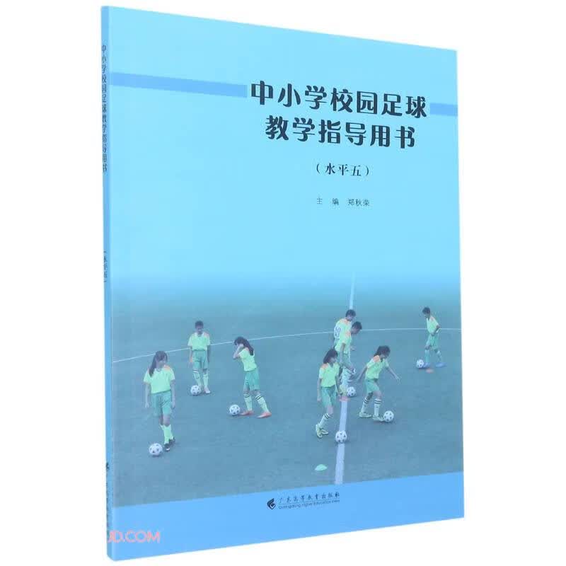 中小学校园足球教学指导用书(水平2)