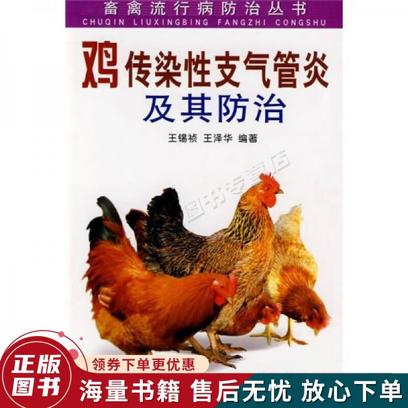 鸡传染性支气管炎及其防治