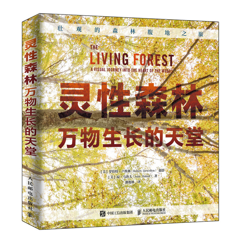 灵性森林:万物生长的天堂