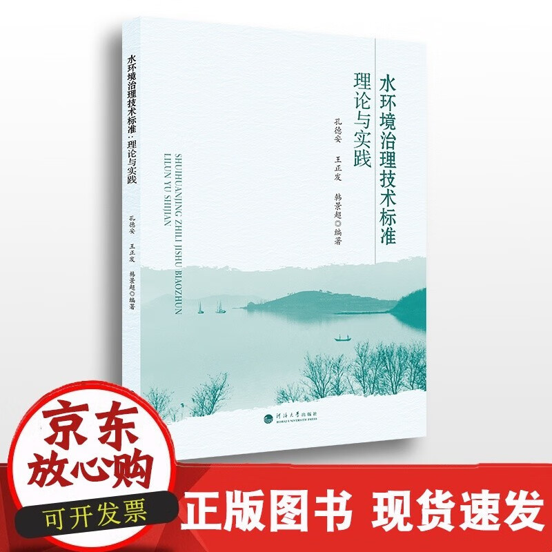 水环境治理技术标准：理论与实践