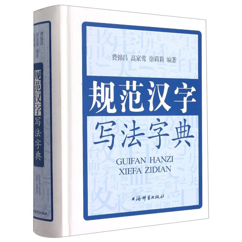 规范汉字写法字典(精)