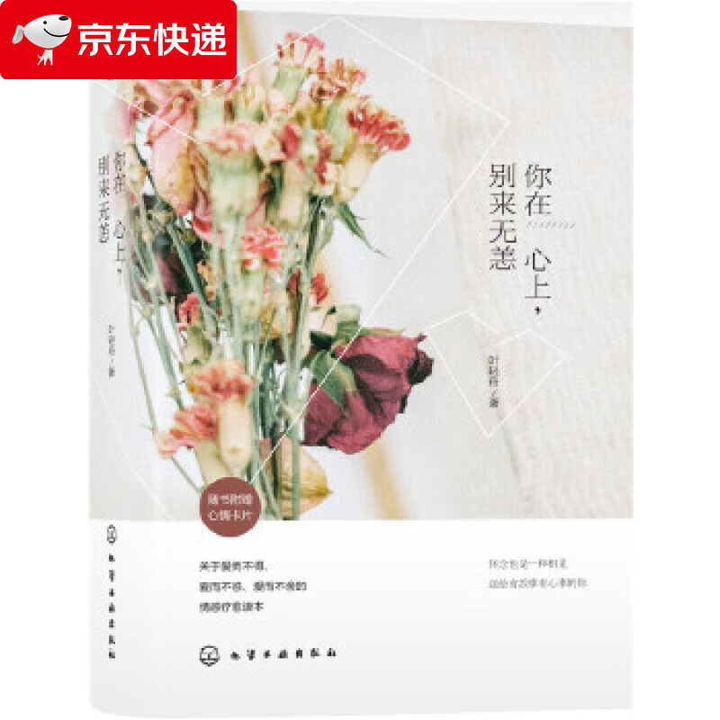 你在心上，别来无恙 叶轻舟 著 9787122281616