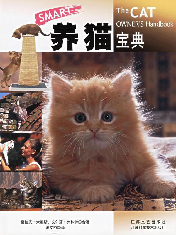 养猫宝典【好书，下单速发】