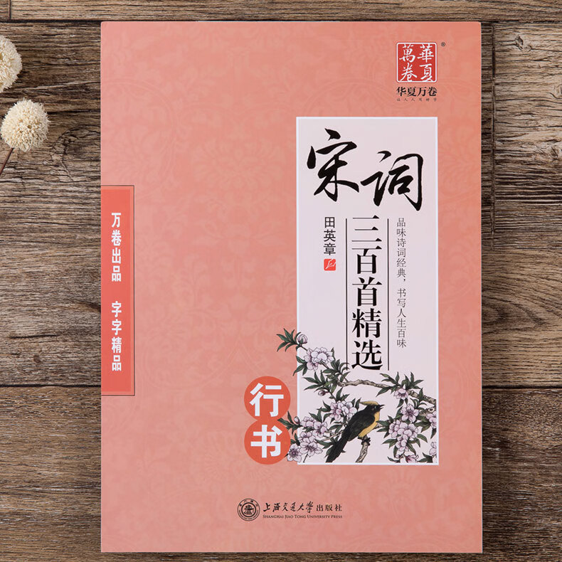田英章楷书字帖硬笔行书字帖唐诗宋词三百首书法练字本古诗词练字 宋词三百首-行书