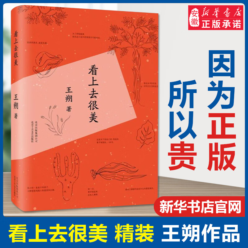现货 看上去很美 王朔随笔集作品致女儿书我是你爸爸 爱情小说都市 情感小说中国现当代文学经典文学小说 畅销书籍排行榜