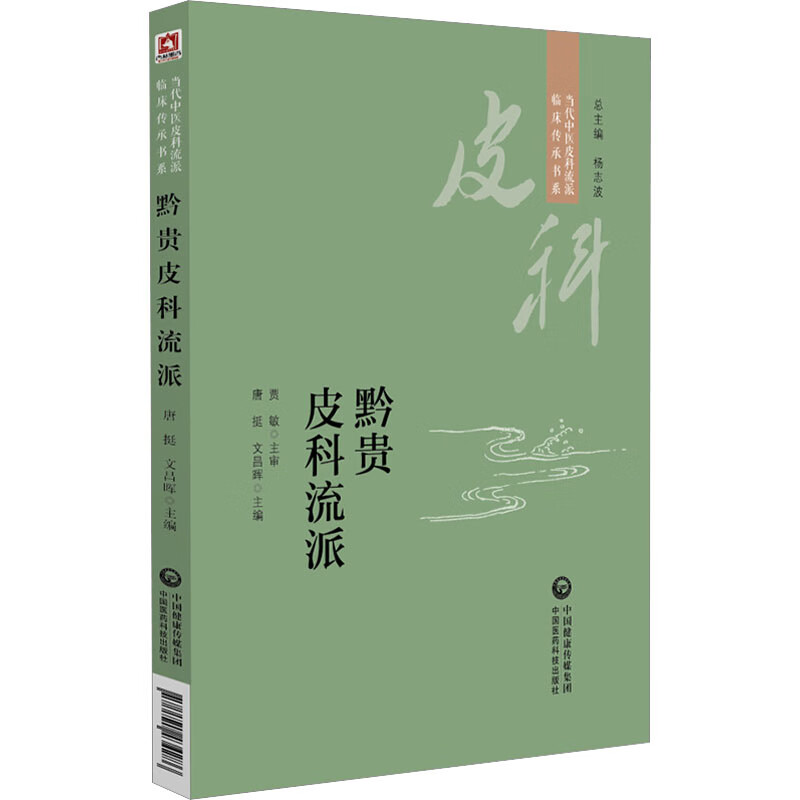 黔贵皮科流派 图书